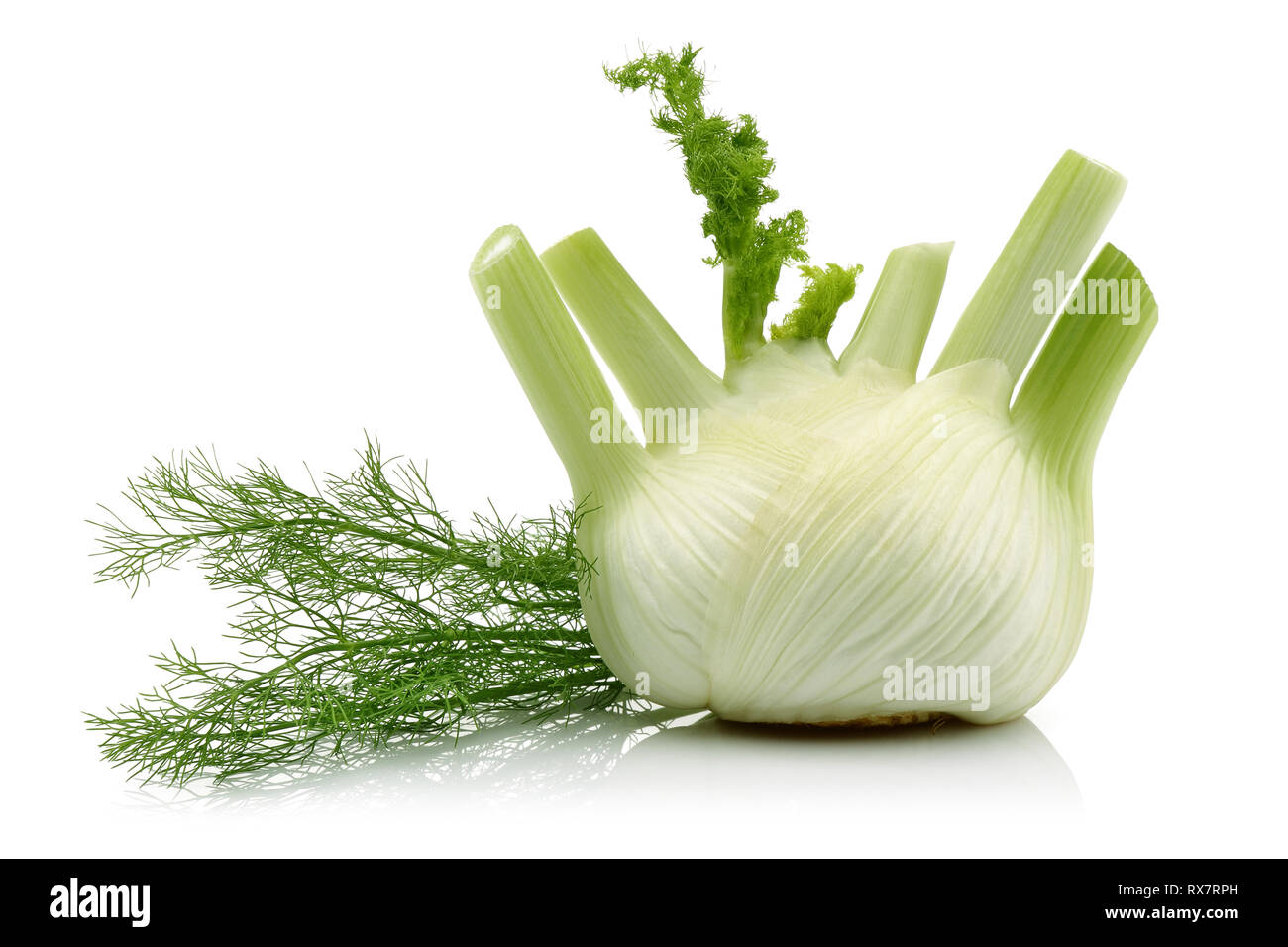 Fresh fennel bulb with leaves isolated on white background Stock Photo ...