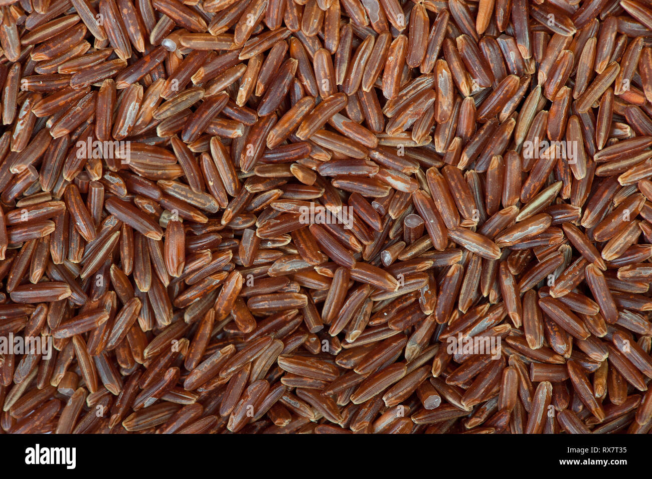Surface covered with the red rice as a backdrop food texture ...