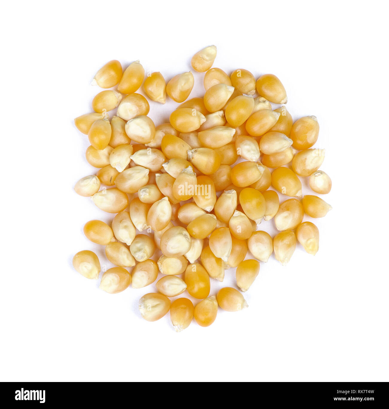 Pile of dried corn isolated on white Stock Photo - Alamy