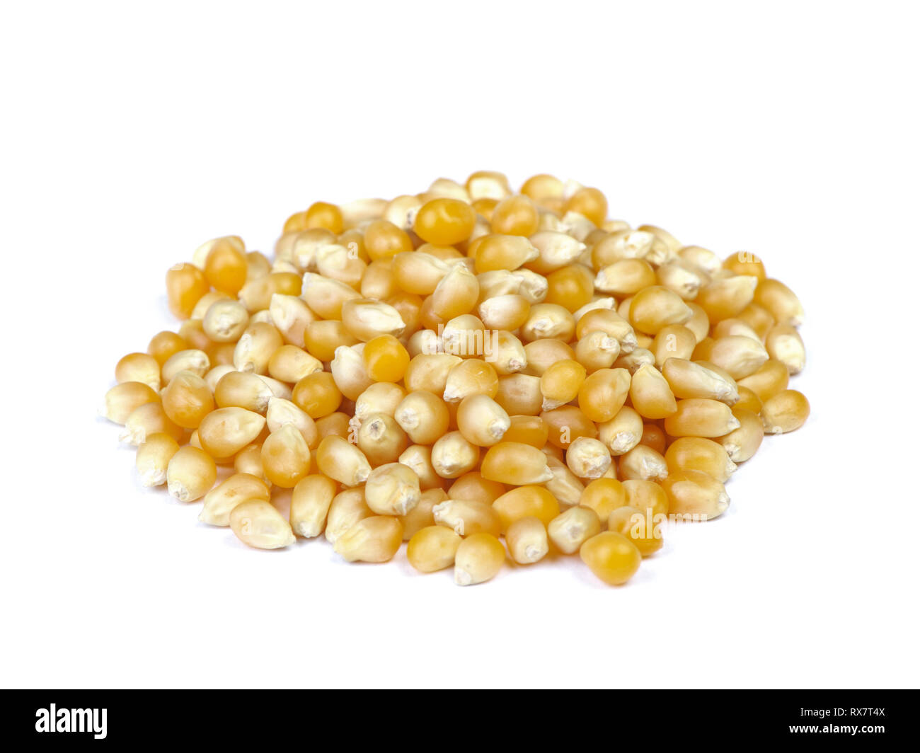 Pile of dried corn isolated on white Stock Photo - Alamy