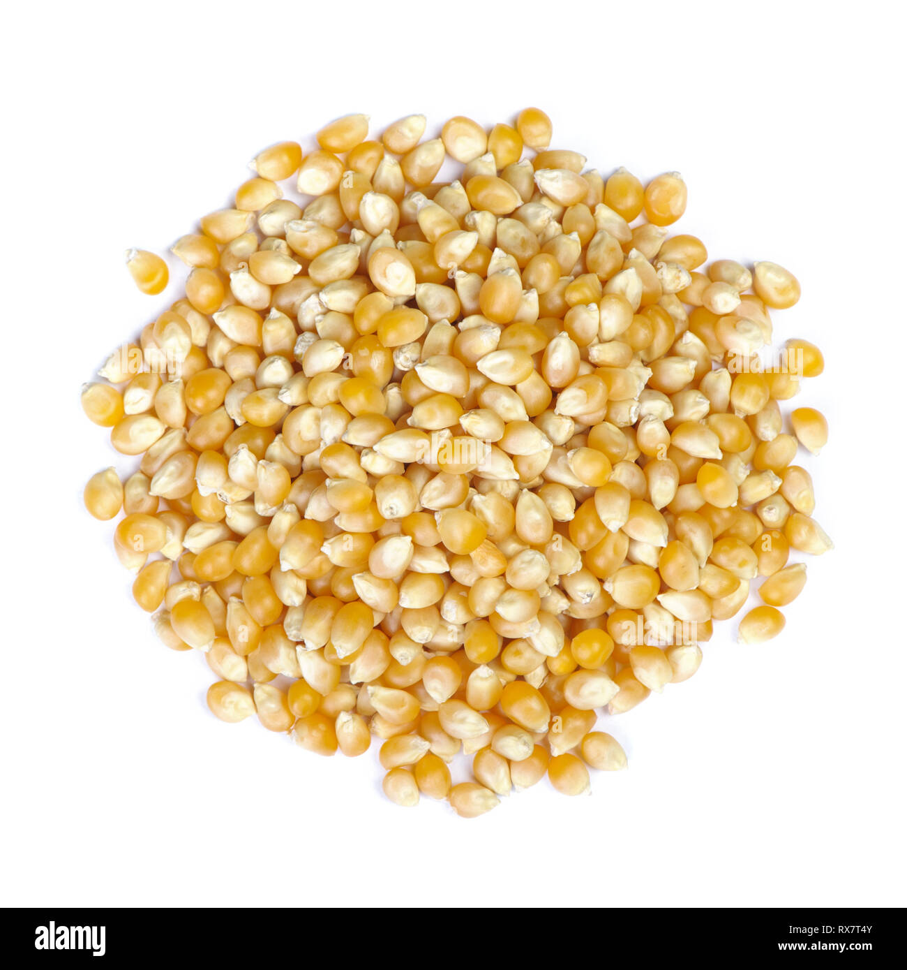 Pile of dried corn isolated on white Stock Photo - Alamy