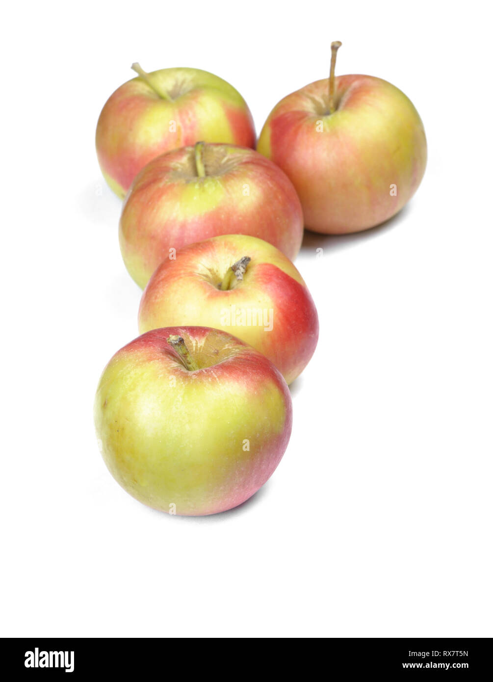 Group of natural eco apples isolated on white background Stock Photo ...