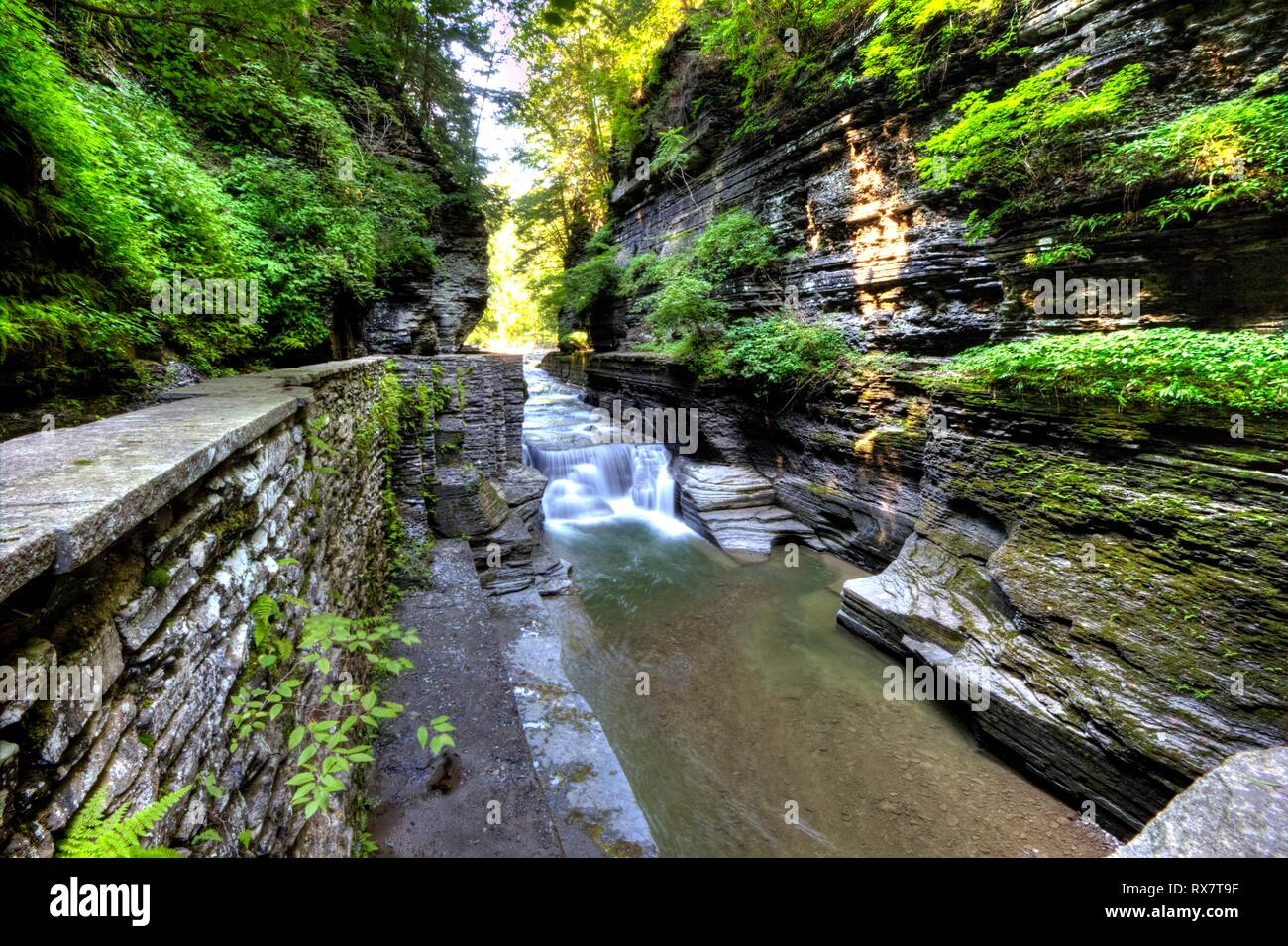 Enfield Glen, Robert H. Treman State Park, New York Stock Photo - Alamy