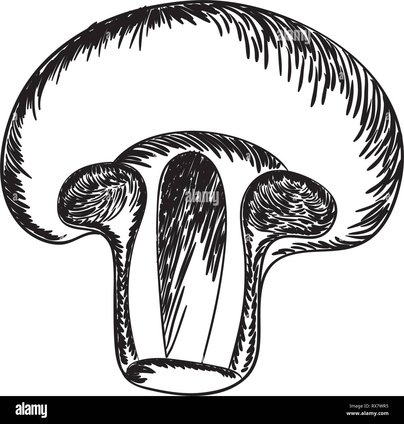 delicious champignon in drawing isolated icon Stock Vector Image & Art ...