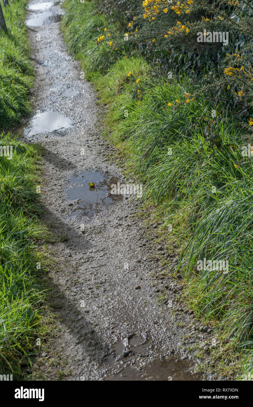 Worn gravel footpath in the UK countryside. Public right of way, weeds ...