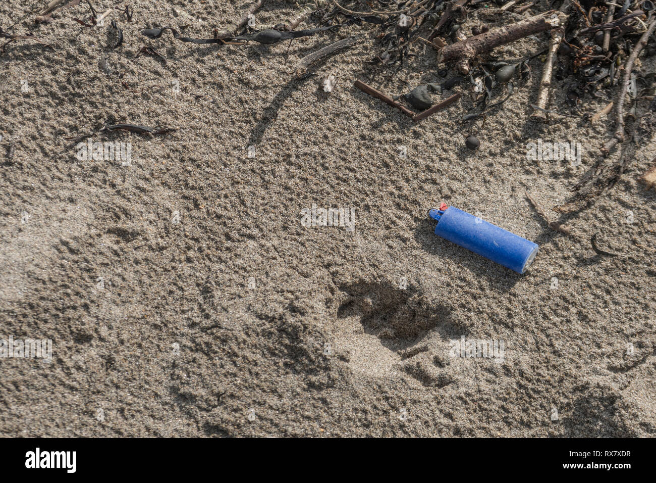 Seashore plastic pollution in Cornwall, UK. Sea shore plastic litter ...