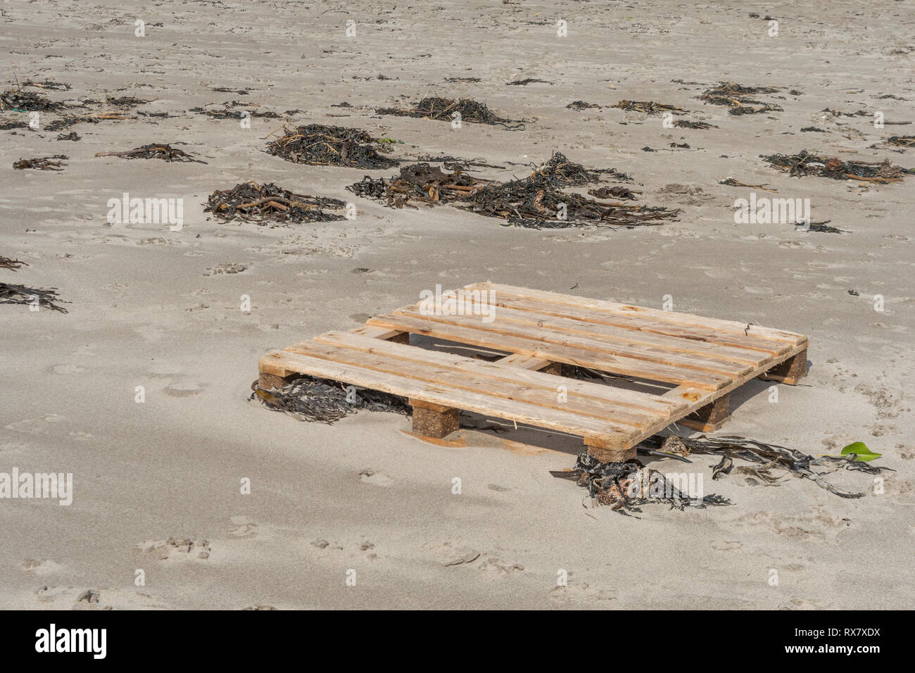 Seashore wood pallet hi-res stock photography and images - Alamy