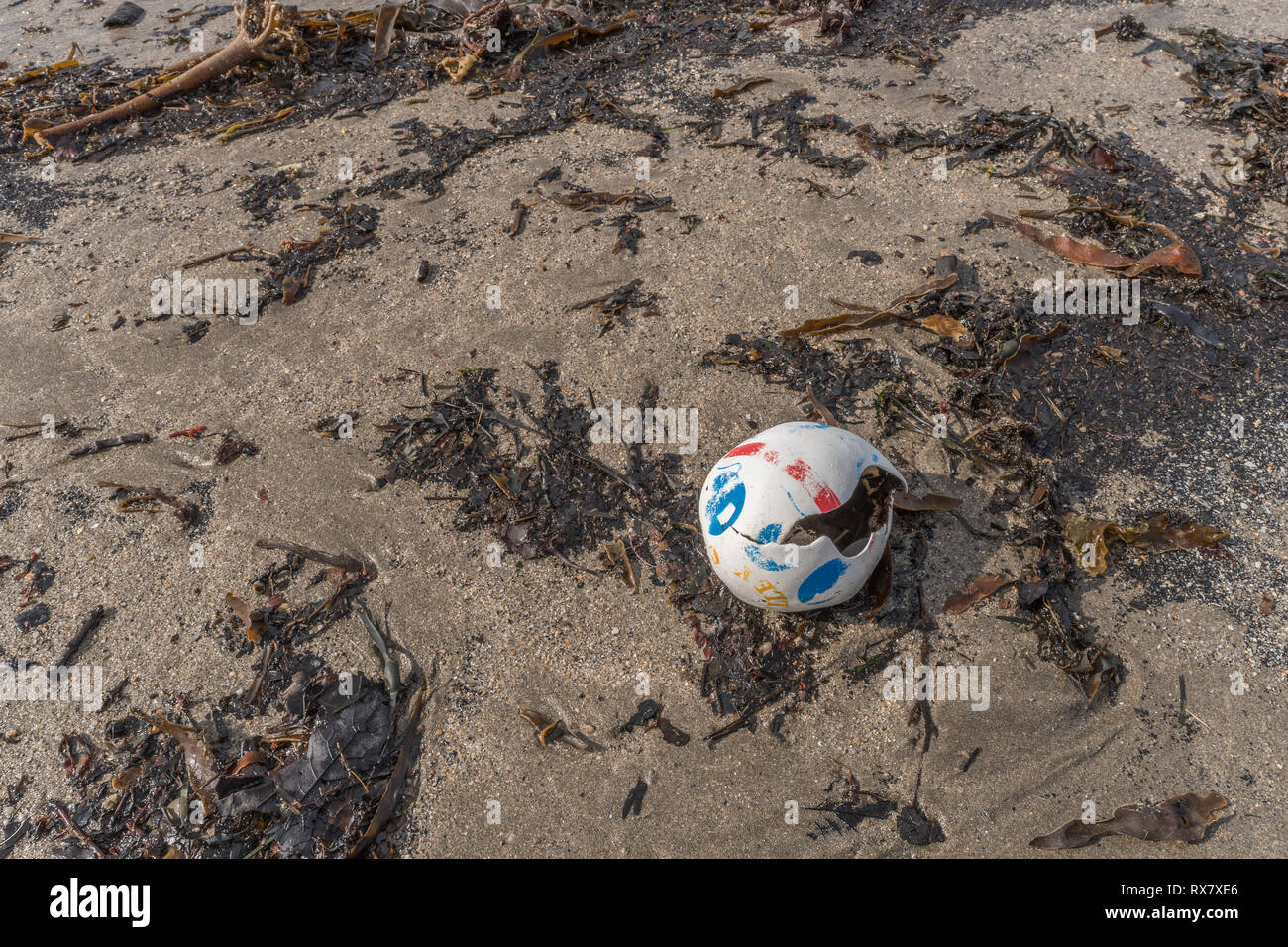 Broken / split beach ball. An example of seashore plastic pollution in ...