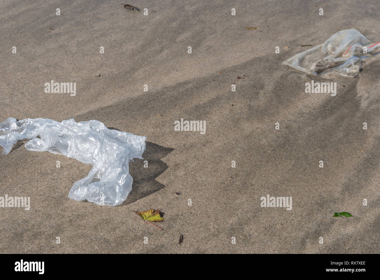 Plastic sheet pollution beach hi-res stock photography and images - Alamy