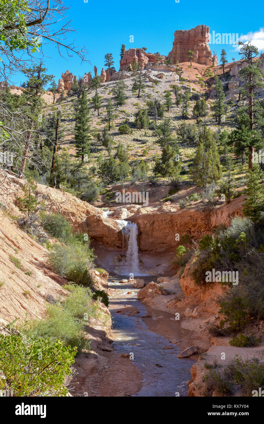 Tropic ditch hi-res stock photography and images - Alamy