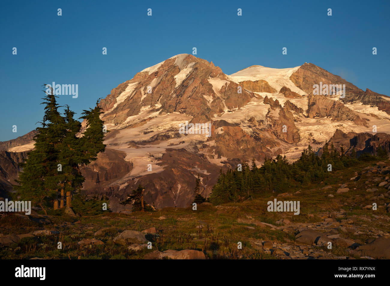 WA15900-00...WASHINGTON - Sunset on Mount Rainier viewed from Colonnade ...