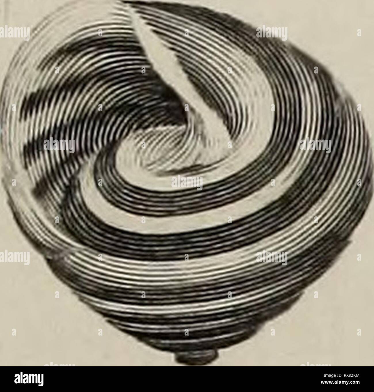 Edinburgh encyclopedia 1830 hi-res stock photography and images - Alamy