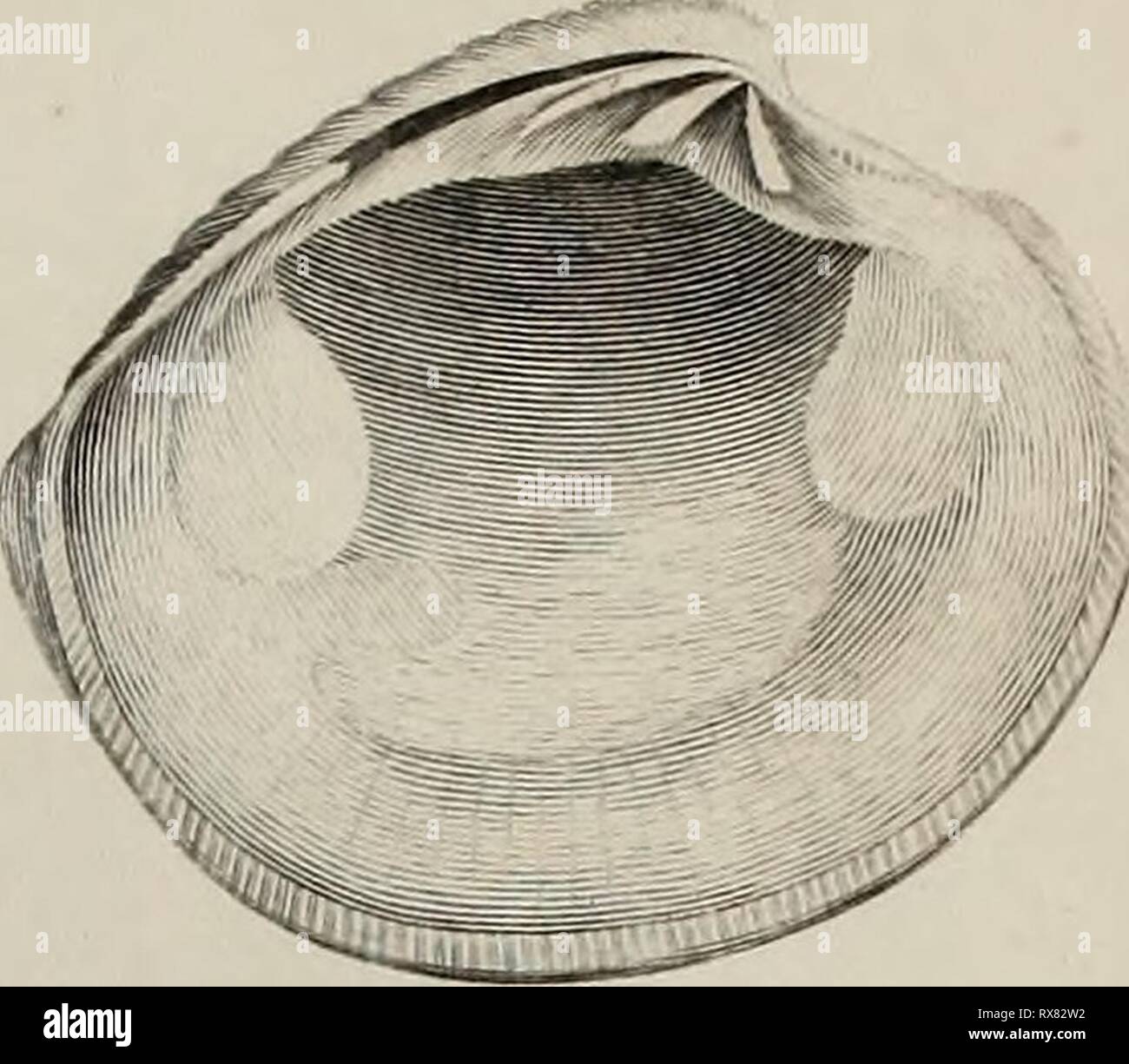 Edinburgh Encyclopedia (1830) Edinburgh Encyclopedia ...