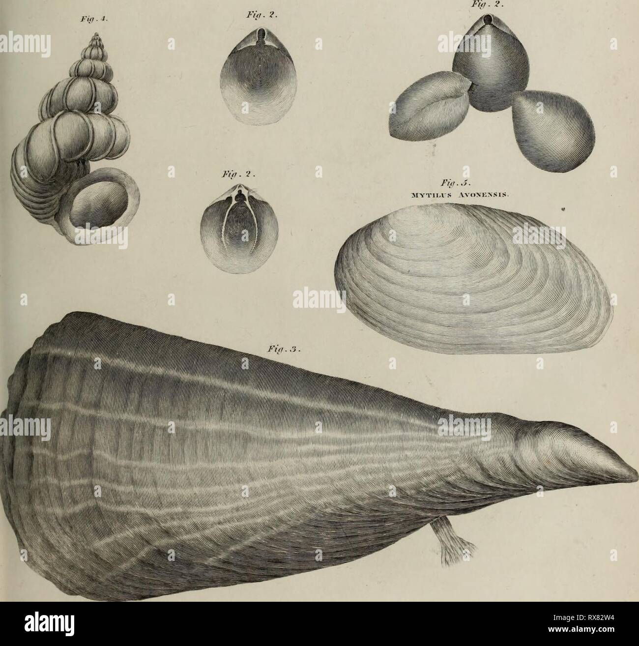 Edinburgh encyclopedia 1830 hi-res stock photography and images - Alamy