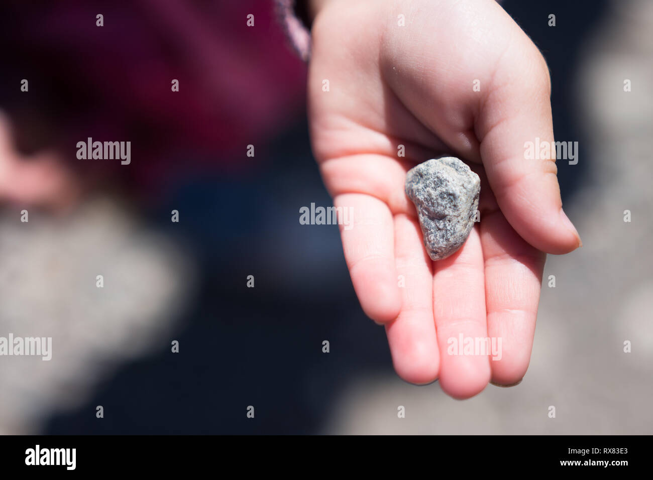 Small child showing off discovered rock in palm of hand Stock Photo - Alamy