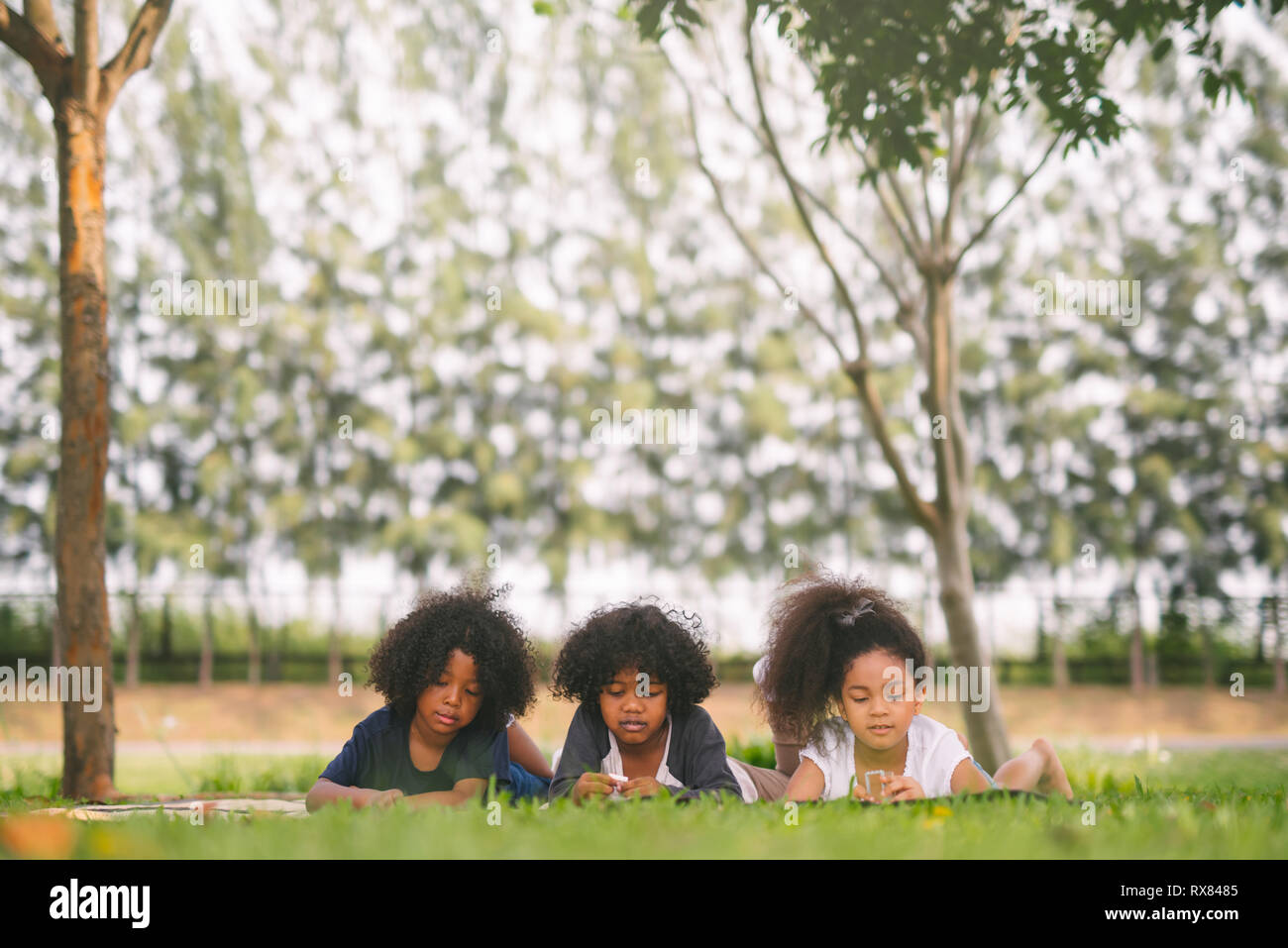 Happy three little friends laying on the grass in the park. american ...