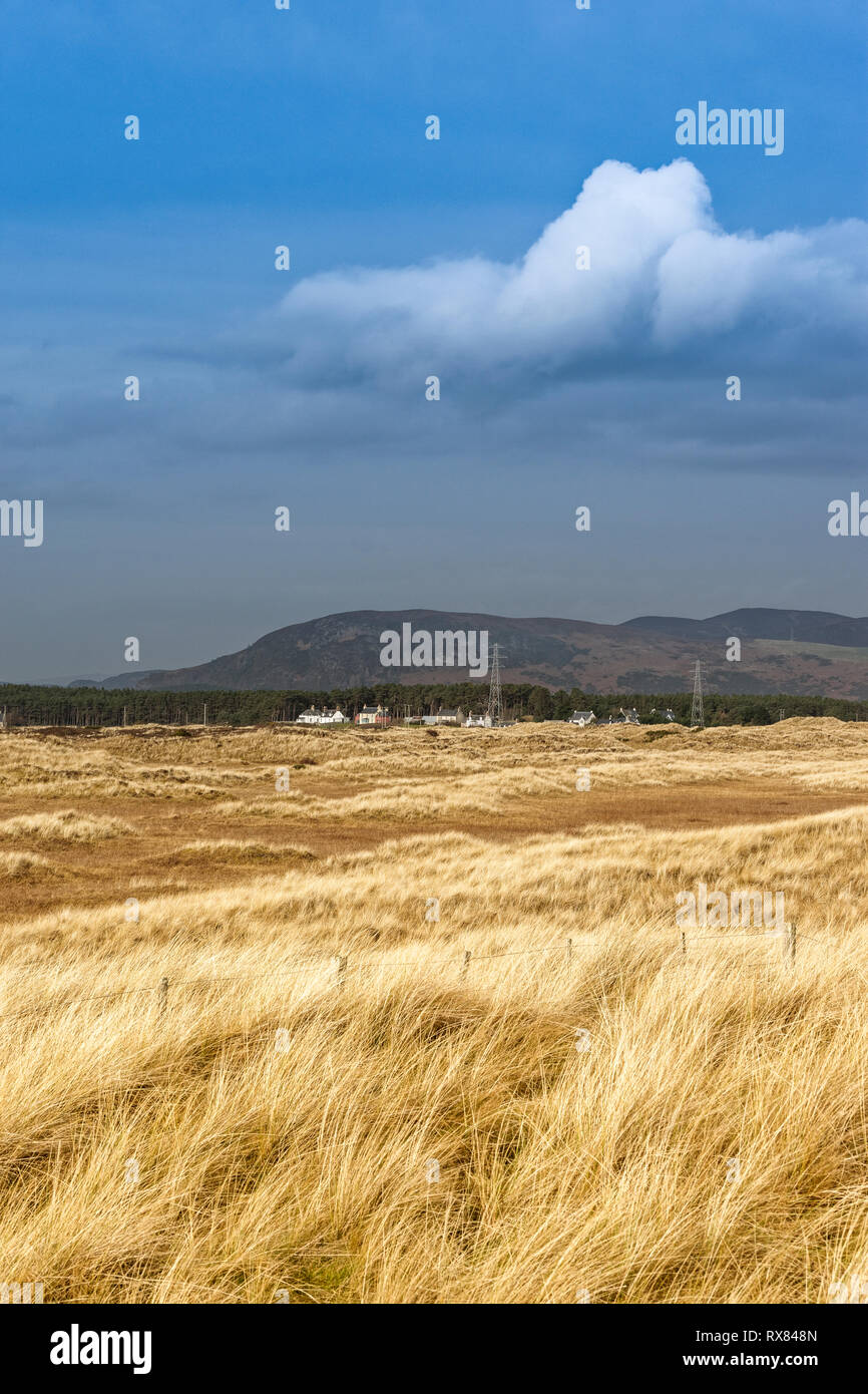 COUL LINKS EMBO SUTHERLAND SCOTLAND EXPANSE OF SEA GRASS WHITE CLOUD ...