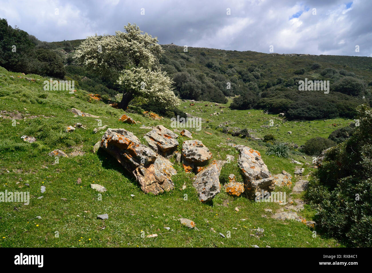 View of baccu Cascitta Stock Photo - Alamy