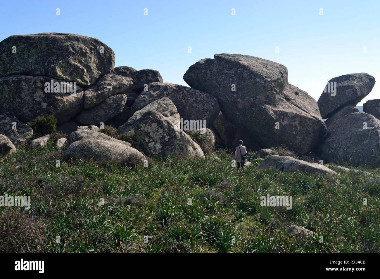 Eccas hi-res stock photography and images - Alamy