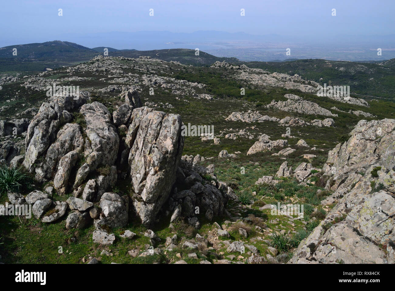 Eccas hi-res stock photography and images - Alamy