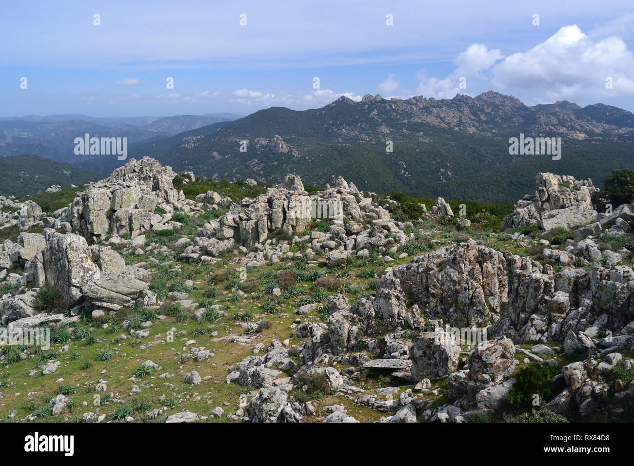 Eccas hi-res stock photography and images - Alamy