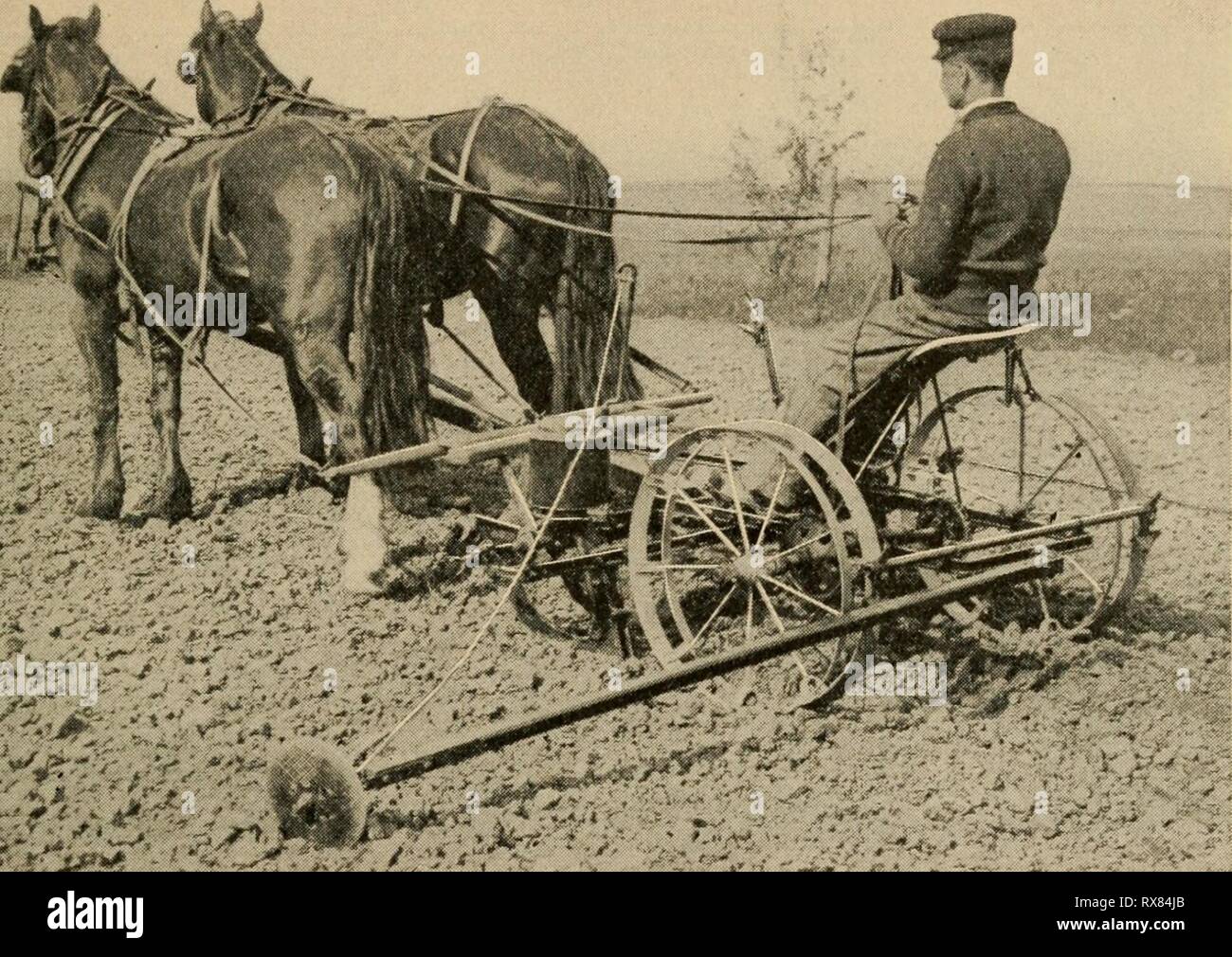 Effective farming; a text-book for Stock Photo - Alamy