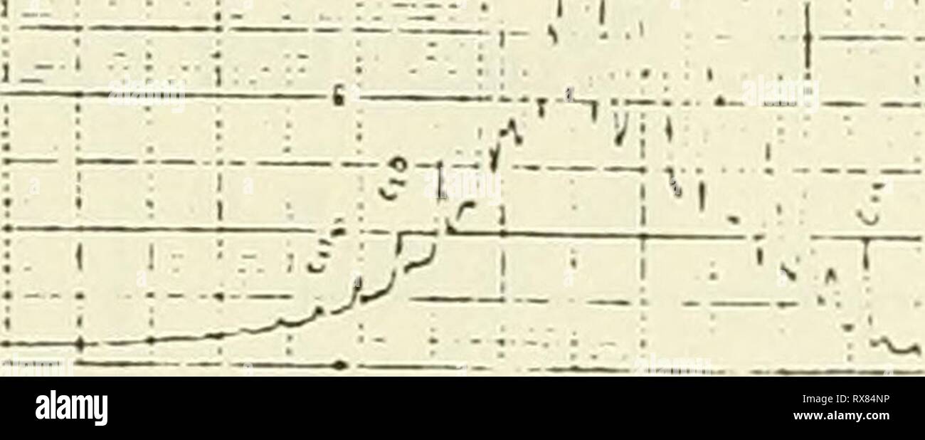 Ecological study of the Amoco Stock Photo - Alamy