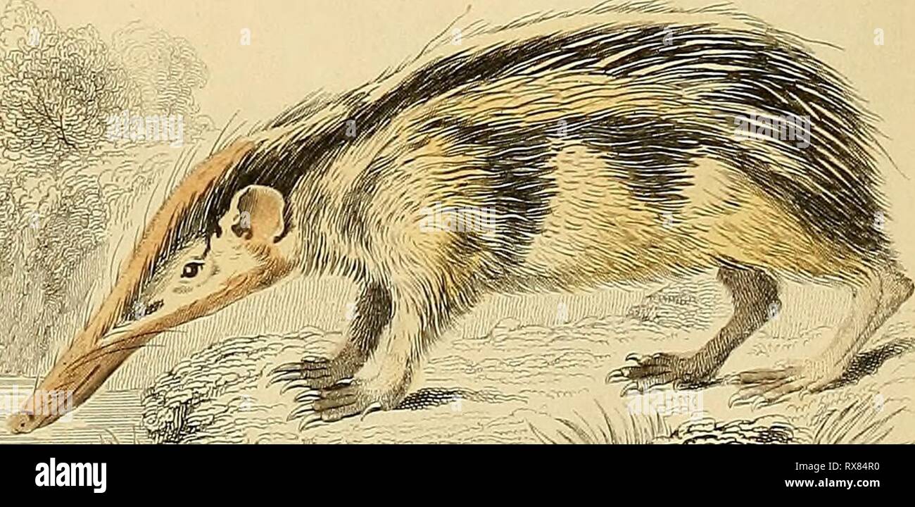 Edinburgh journal of natural history Edinburgh journal of natural ...