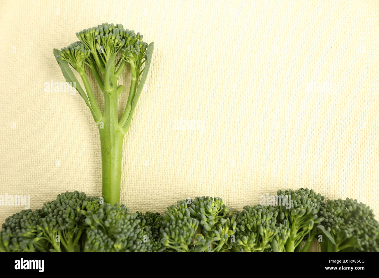 Broccoli tree hi-res stock photography and images - Alamy