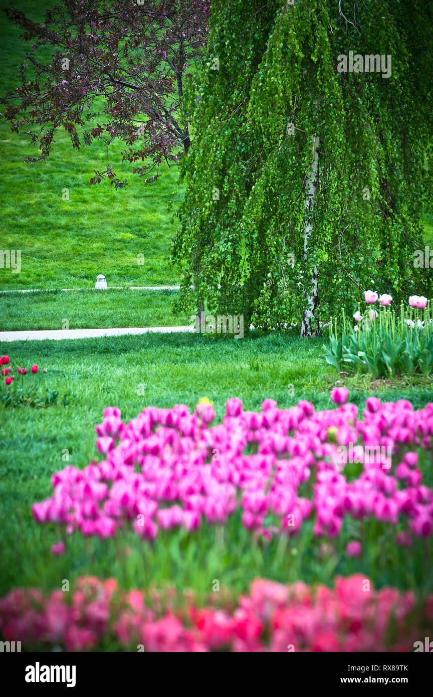 Photo of beautiful spring garden , vertical photo Stock Photo - Alamy