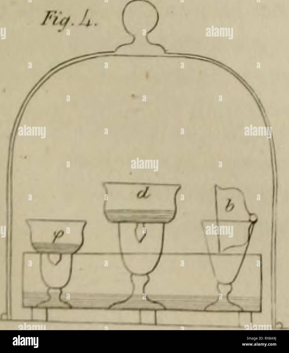 Edinburgh New Philosophical Journal (1829 Edinburgh New Philosophical ...