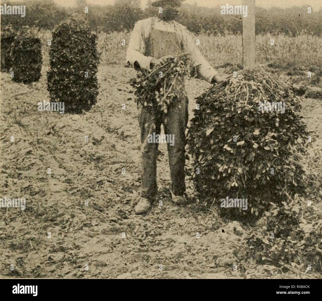 Effective farming; a text-book for Stock Photo - Alamy