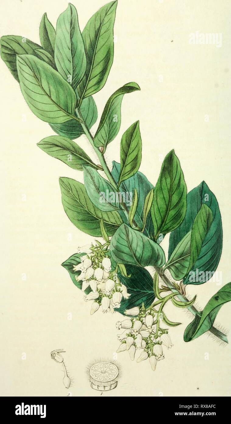 Ah ry hi-res stock photography and images - Alamy