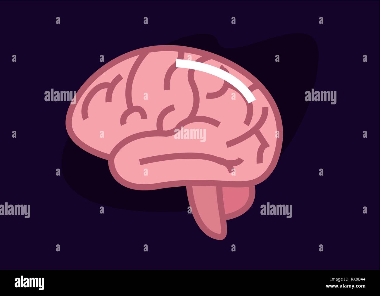 human brain organ think poster vector illustration Stock Vector Image ...
