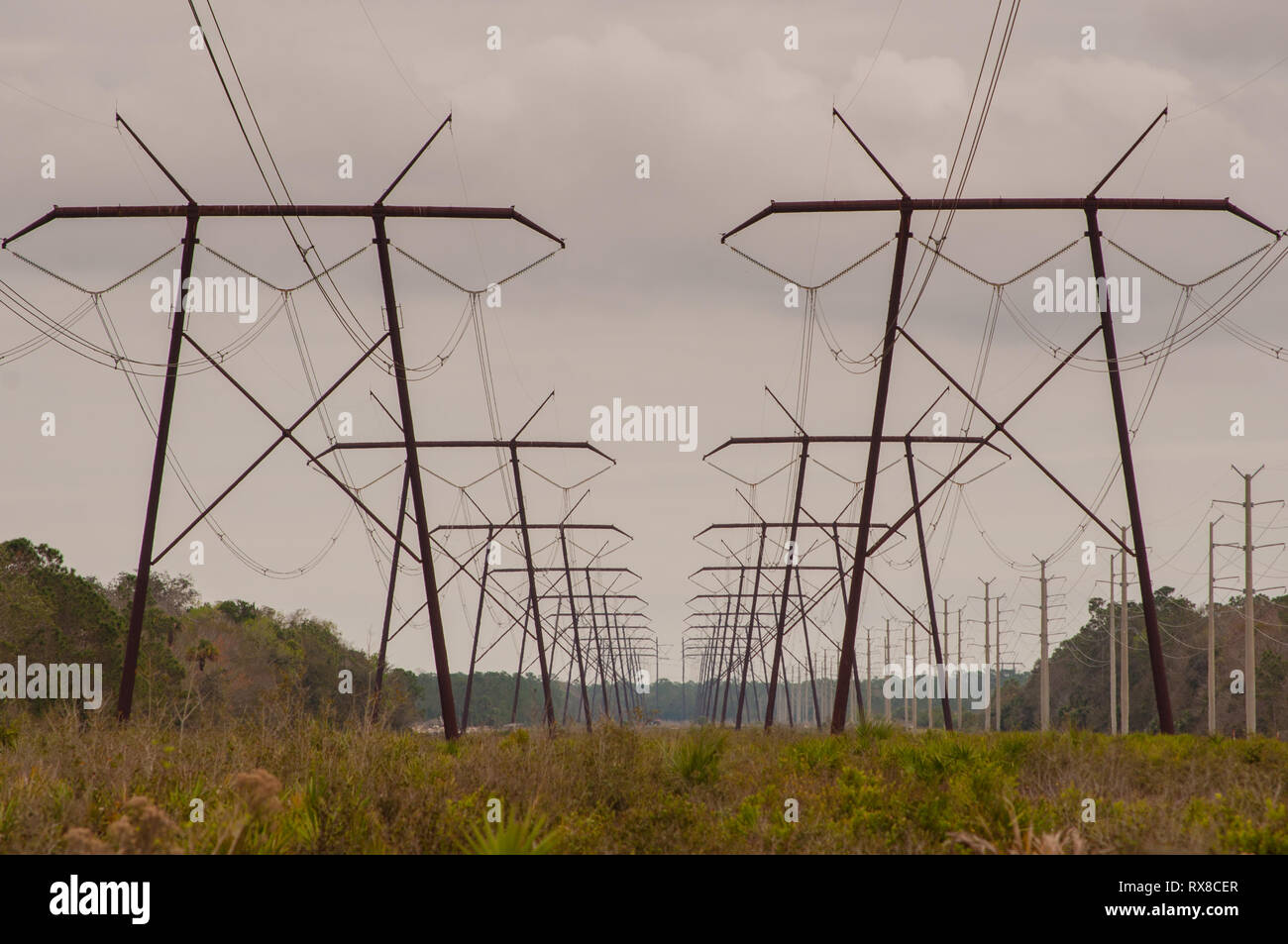 Electric power line towers in rows in field Stock Photo - Alamy