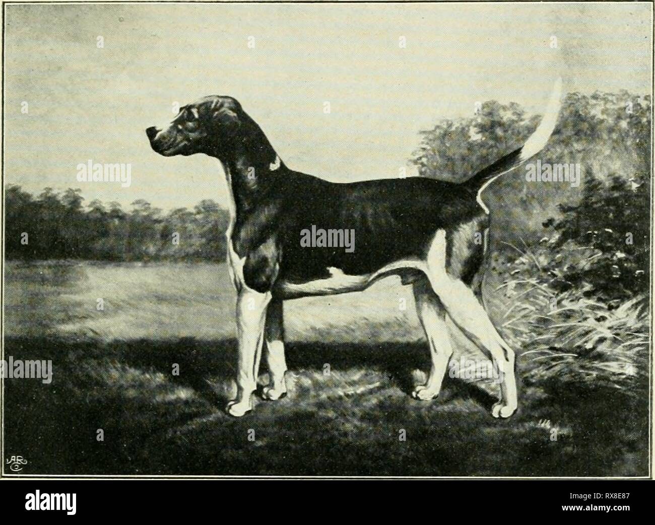 The eighth Duke of Beaufort The eighth Duke of Beaufort and the ...