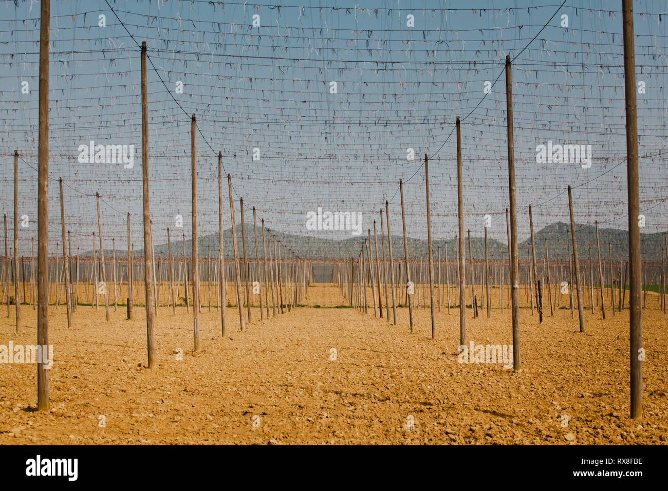 Hop wiring hi-res stock photography and images - Alamy