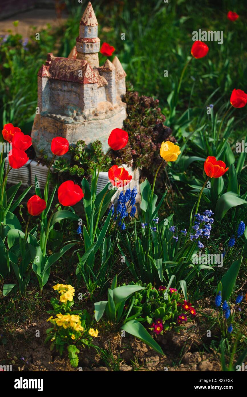 Tulips in the garden with model of castle. Spring is coming Stock Photo ...