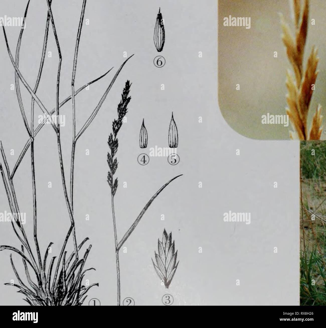 e er duo si zhi e er duo si zhi wu zhi eerduosizhiwuzhi02wuji Year ...