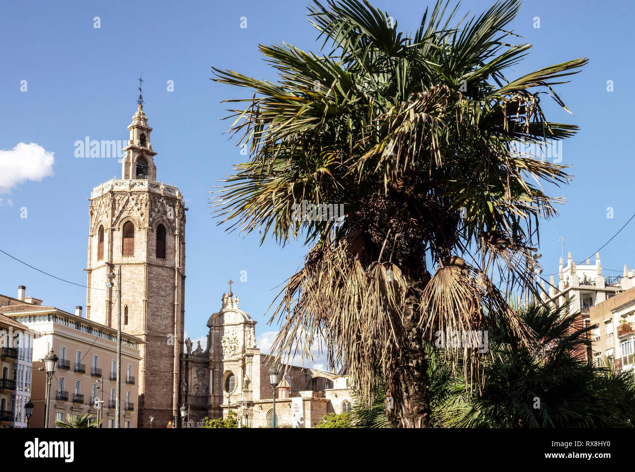 Valencia, Medieval El Micalet bell tower at Cathedral, Palm tree, Plaza ...
