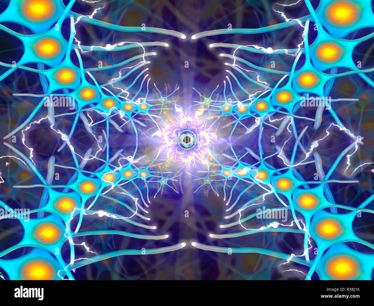 Universal Evolution | atelier-yuwa.ciao.jp