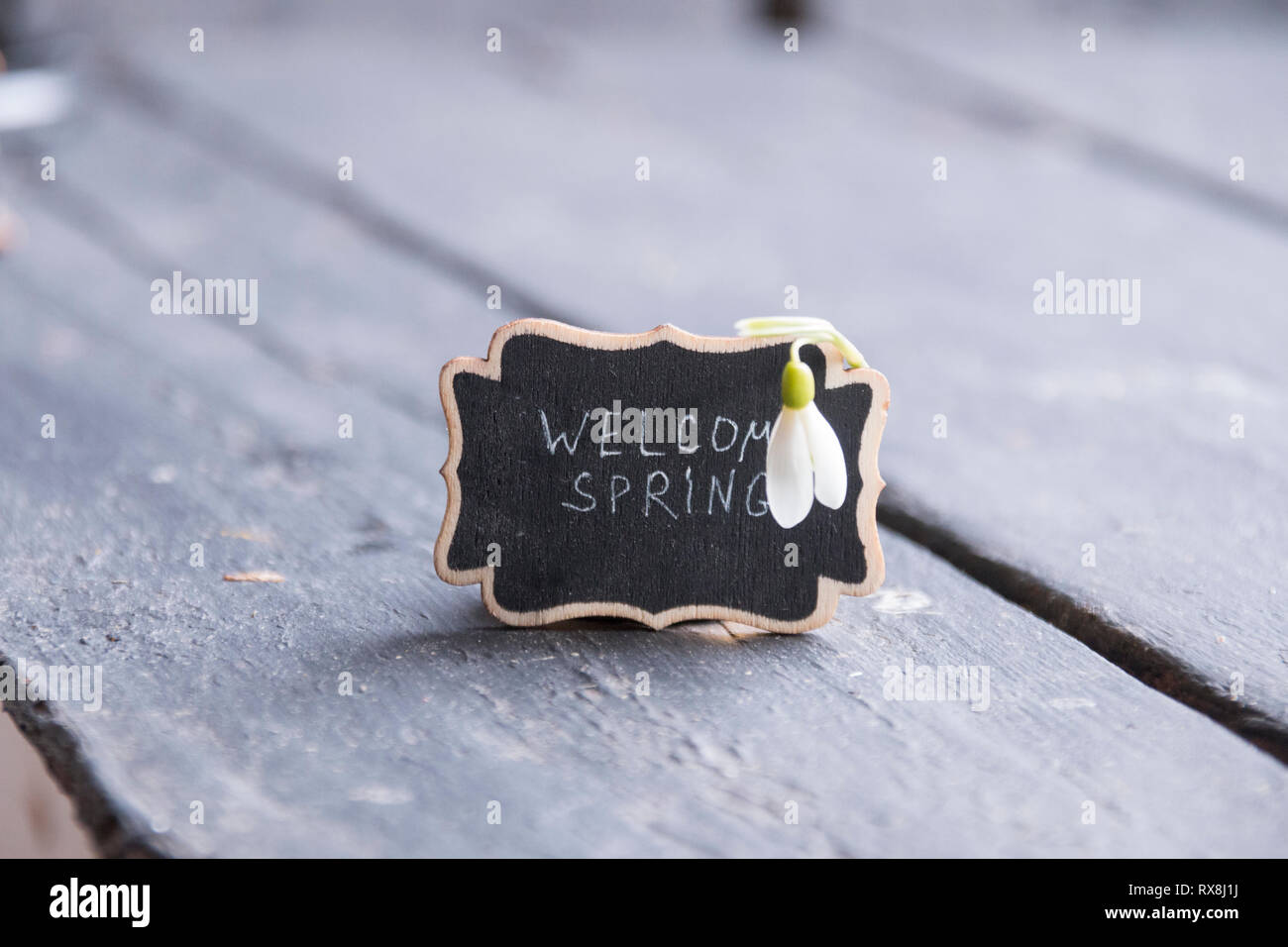 welcome spring idea, plate with the inscription and snowdrop Stock ...
