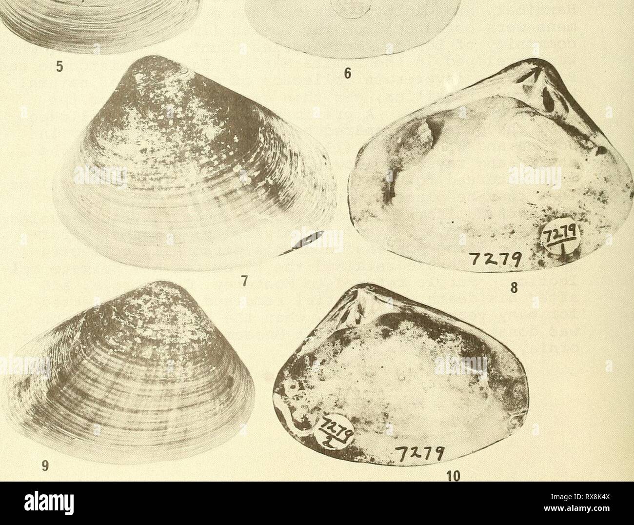 Ivn High Resolution Stock Photography and Images - Alamy