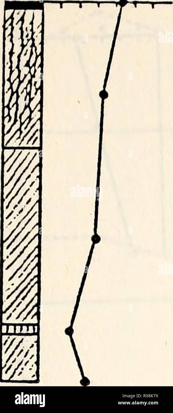 Ecological study of the Amoco Stock Photo - Alamy