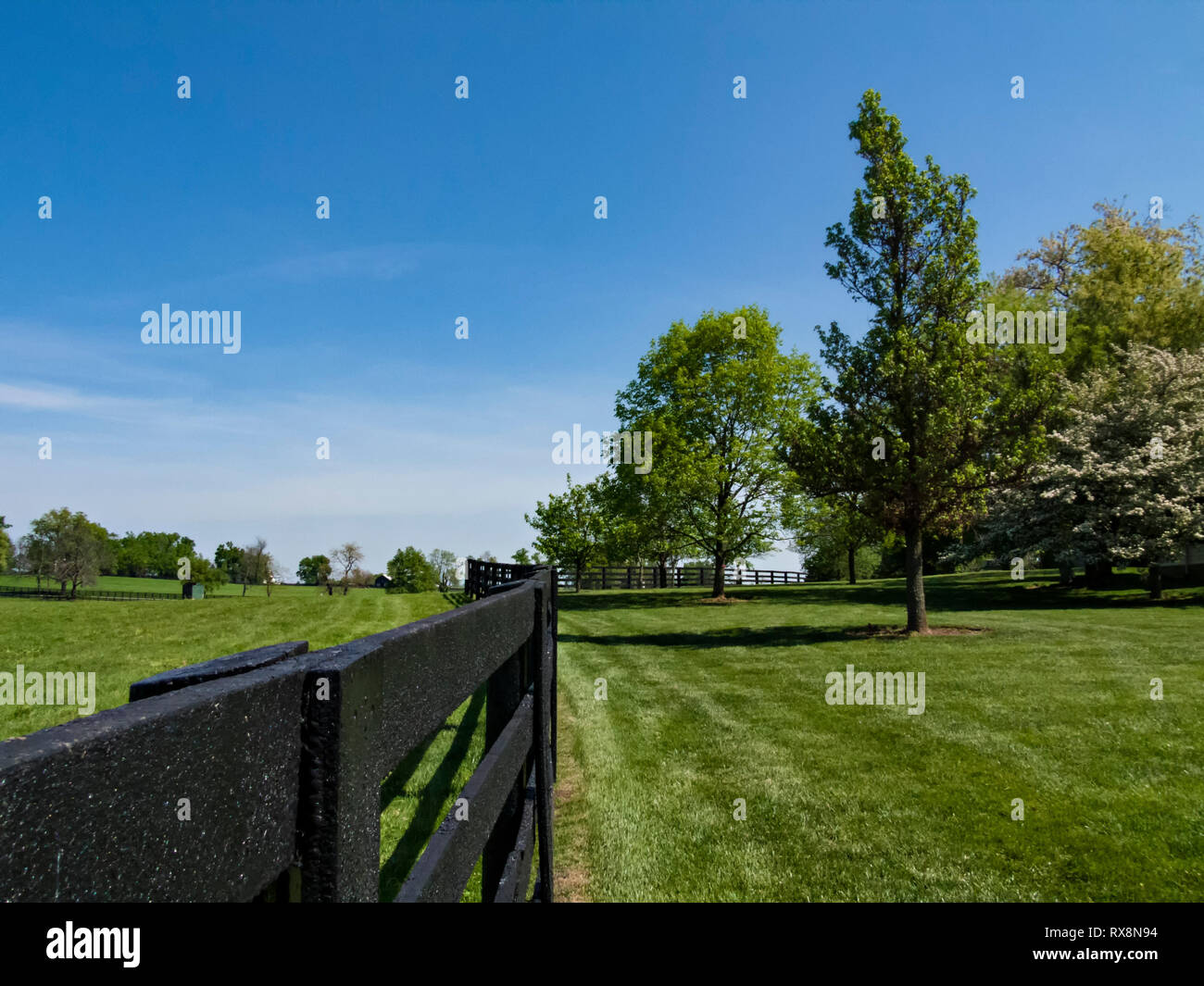 Pasture, Trees & Fence Stock Photo - Alamy