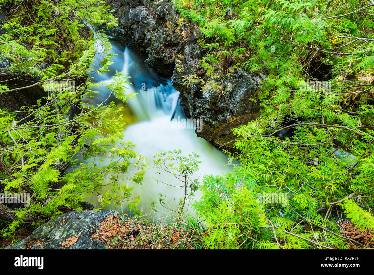 Natural spring water flowing through hi-res stock photography and ...