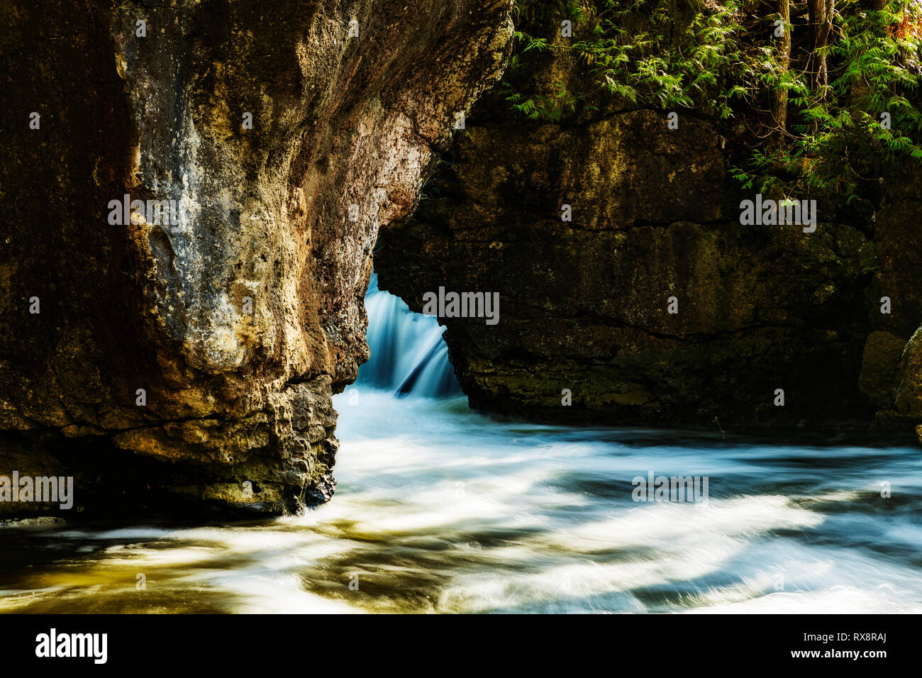 Eramosa River gorge in Spring, detail, Everton, Ontario, Canada Stock ...
