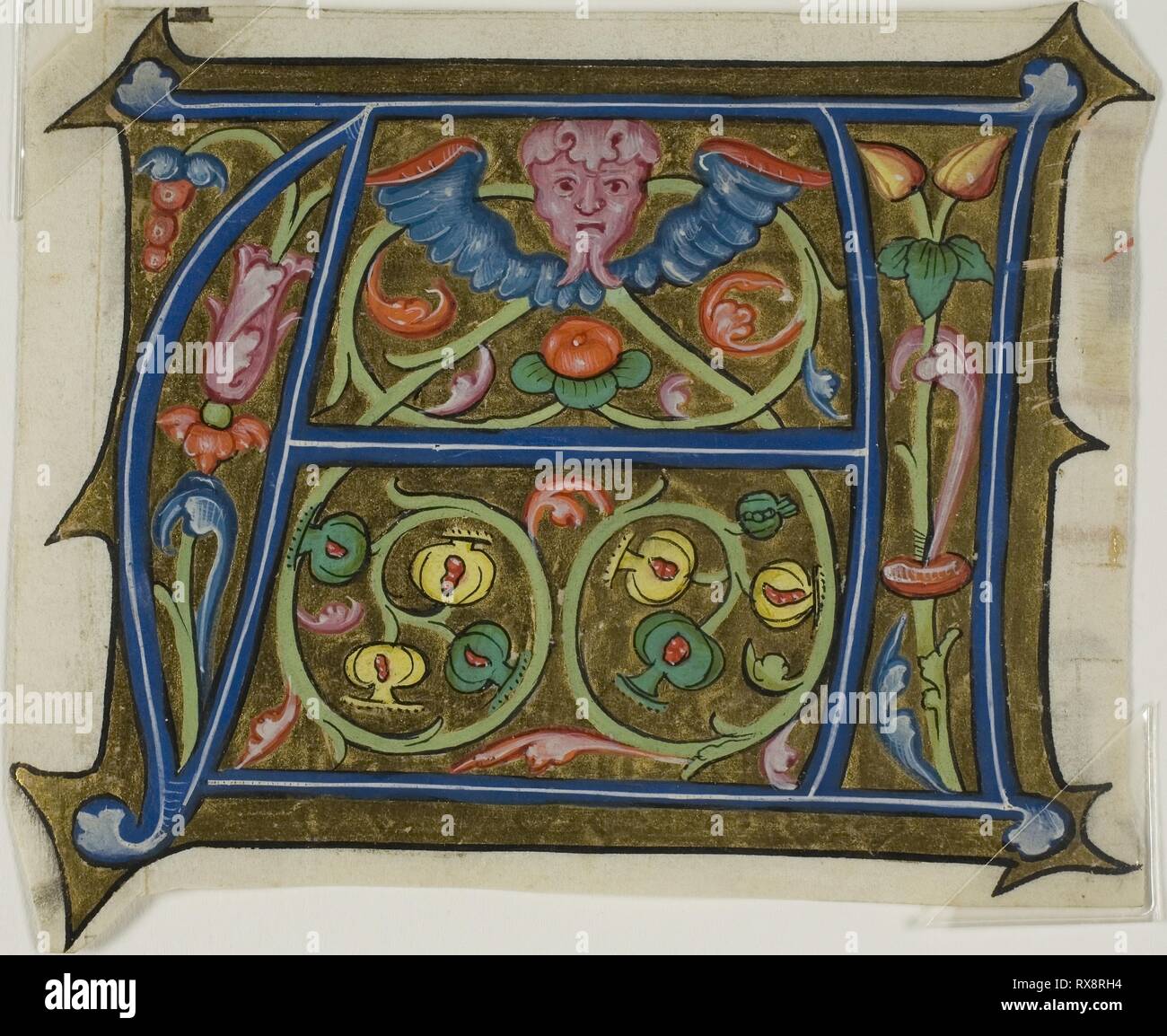Decorated Initial "A" with Grotesque and Flora from a Choir Book ...