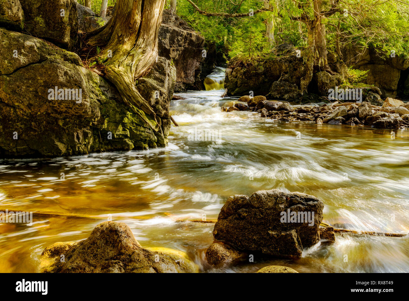 River gorge ontario hi-res stock photography and images - Alamy
