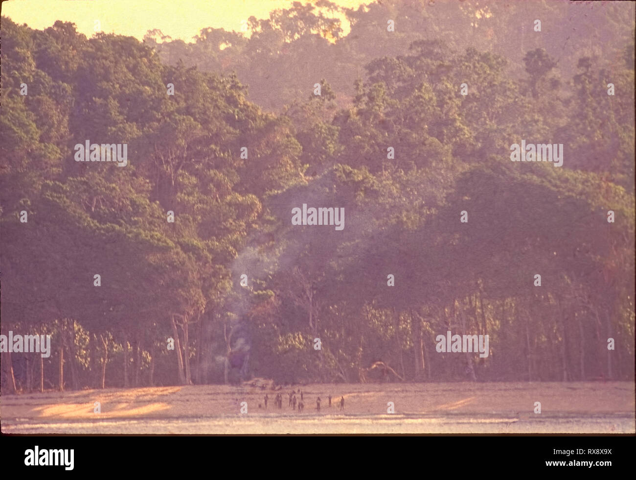 Jarwas tribals hi-res stock photography and images - Alamy